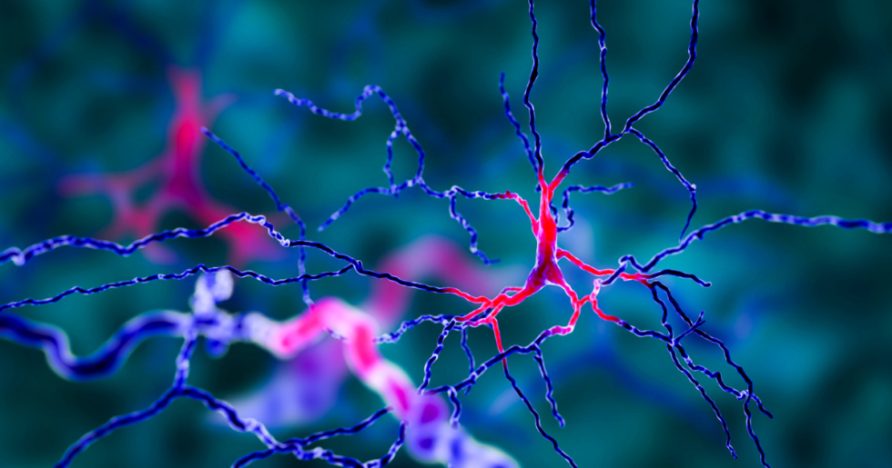 Symptoms of Dopamine Deficiency - ANF Academy