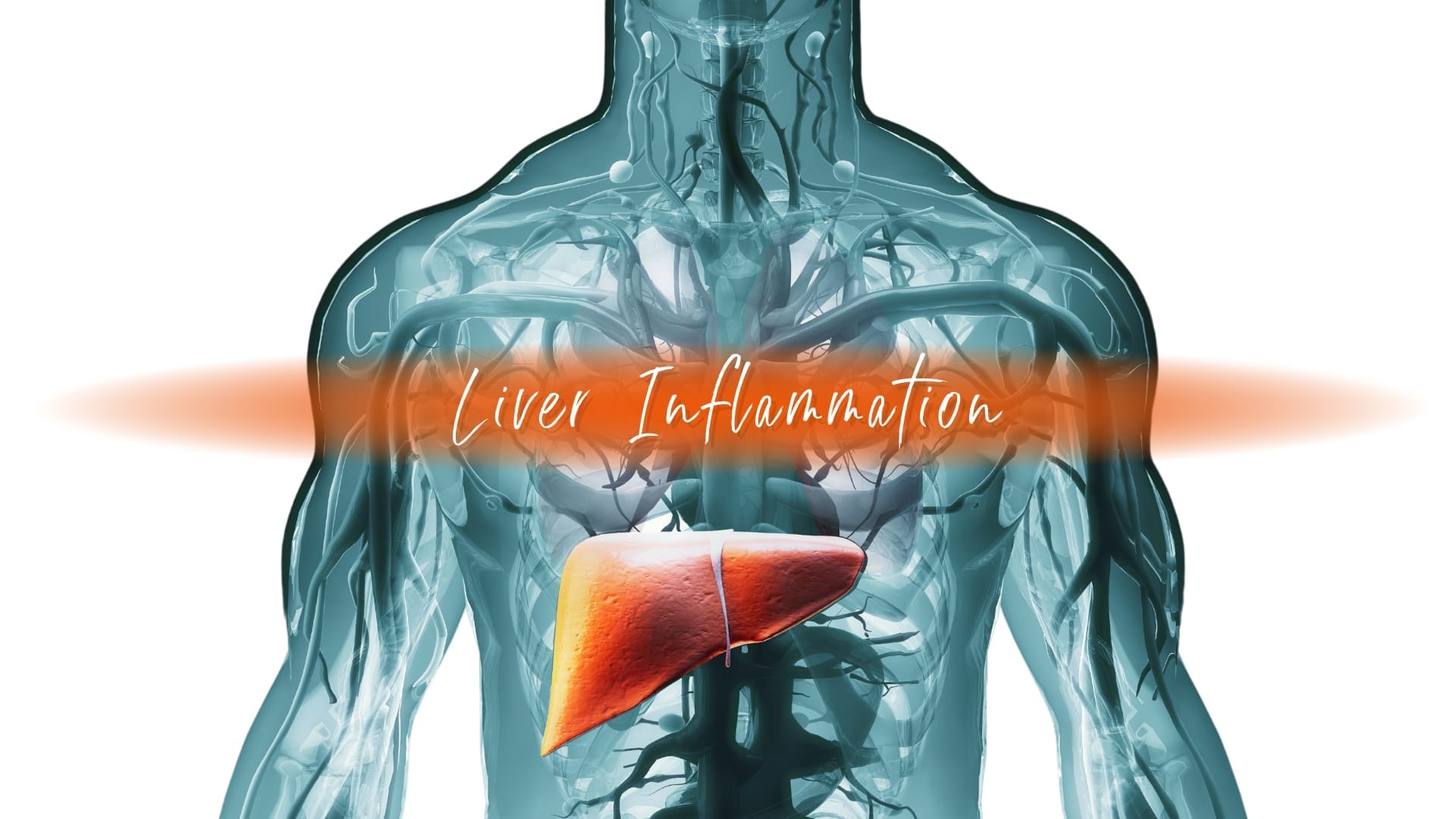 Liver Inflammation: A Comprehensive Guide