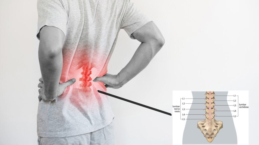 Sitting Disease: How to Combat Lower Back Pain in the Era of Sedentary ...