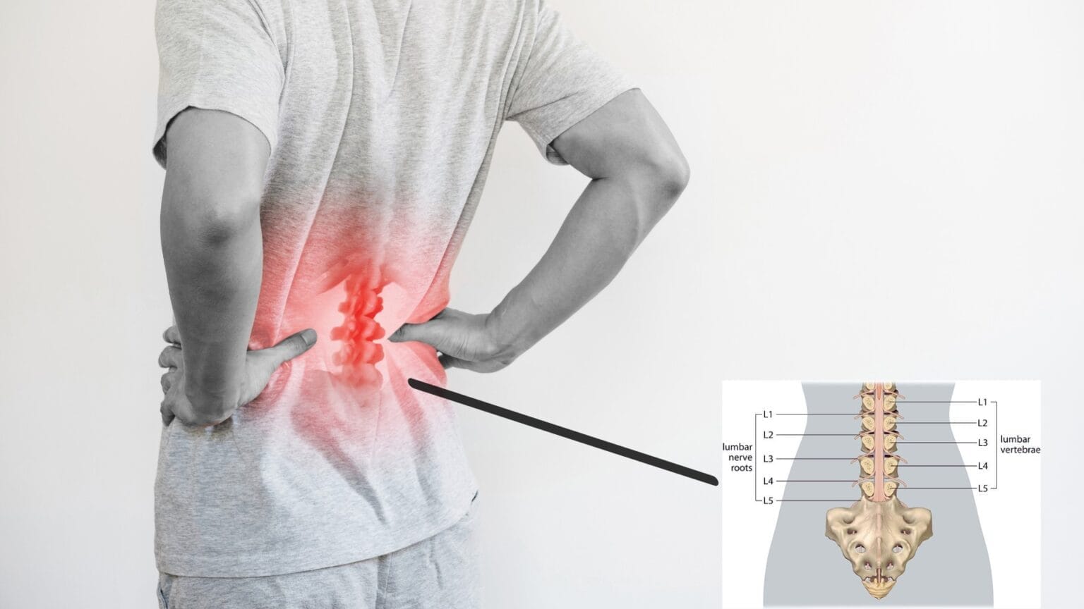 Sitting Disease: How to Combat Lower Back Pain in the Era of Sedentary ...
