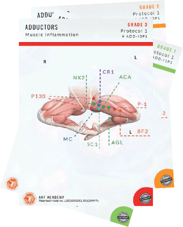 ANF Patient Info - ANF Academy